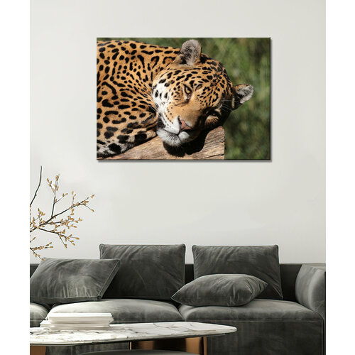 Картина/Ягур/Ягуар в джунглях/Ягуар на дереве/Черный ягуар/ - Ягуар (43) 20х30