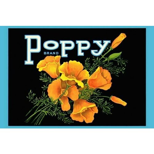 Плакат, постер на холсте иностранный Poppy brand. Размер 42 х 60 см