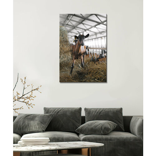 Картина -Коза, козел, коричневый козел, коричневая коза (4) 20х30