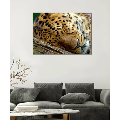 Картина/Ягур/Ягуар в джунглях/Ягуар на дереве/Черный ягуар/ - Ягуар (31) 60х80