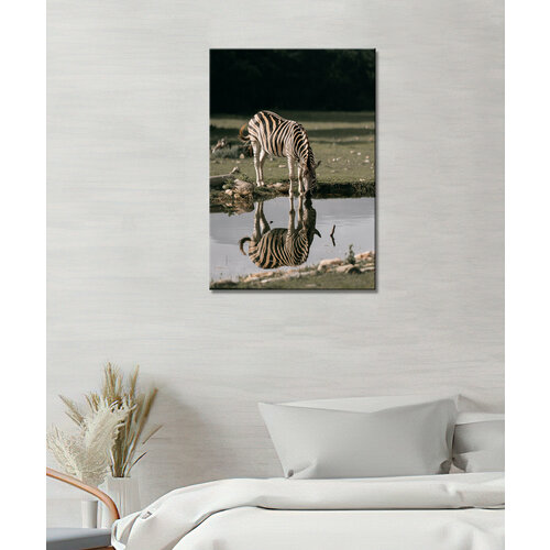Картина - Зебра, полосатая зебра, красивая зебра, зебра у воды (17) 30х40