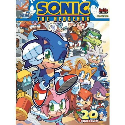 Плакат, постер на холсте Sonic/Соник/игровые/игра/компьютерные герои персонажи. Размер 21 х 30 см