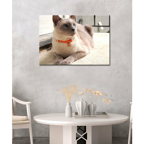 Картина - кошка, сиамская кошка, домашняя кошка, ласковая кошка, короткошерстная кошка, кот (92) 20х30