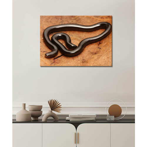 Картина - змея, обыкновенная слепозмейка, маленькая змея, земляная змея (63) 50х70