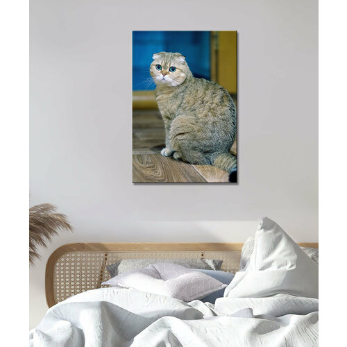 Картина - кошка, шотландская вислоухая кошка, домашняя кошка, ласковая кошка, кот (239) 50х70