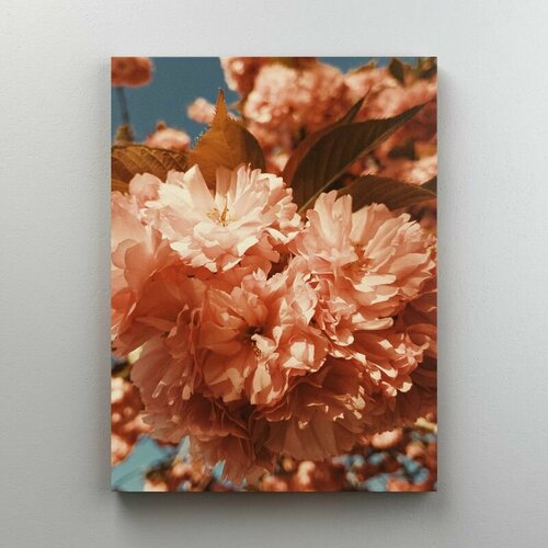 Интерьерная картина на холсте "Персиковый древовидный пион - цветы и растения" размер 22x30 см