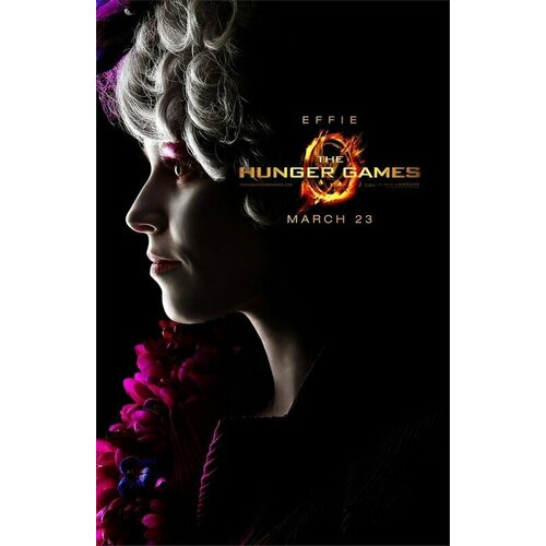 Плакат, постер на бумаге Голодные игры (The Hunger Games), Гэри Росс. Размер 60 х 84 см