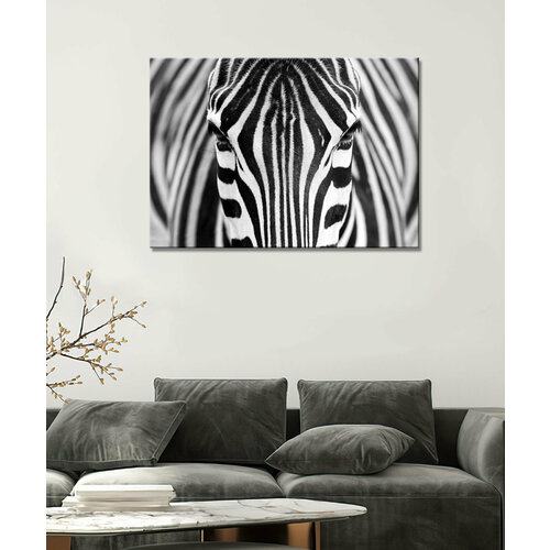 Картина - Зебра, полосатая зебра, красивая зебра, глаза зебры (8) 40х60