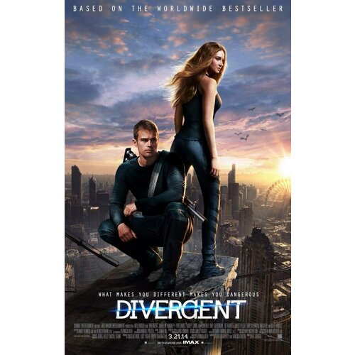 Плакат, постер на холсте Divergent-Insurgent/Инсургент-Дивергент. Размер 21 х 30 см