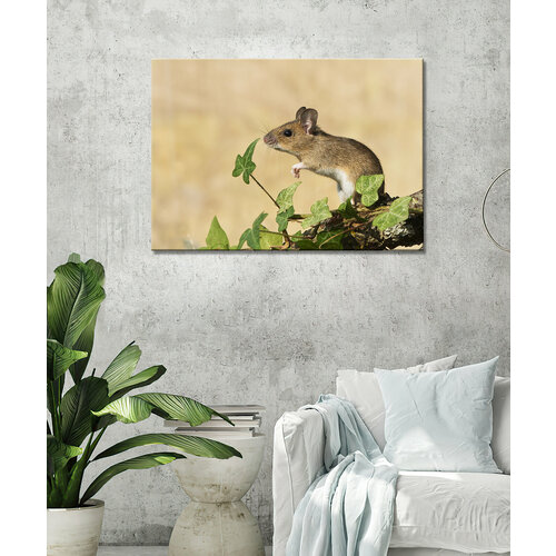 Картина -Мышь, мышка, мышонок, мышь макро, милая мышка (28) 60х80