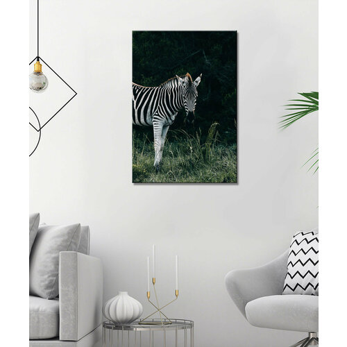 Картина - Зебра, полосатая зебра, красивая зебра, глаза зебры (15) 50х70