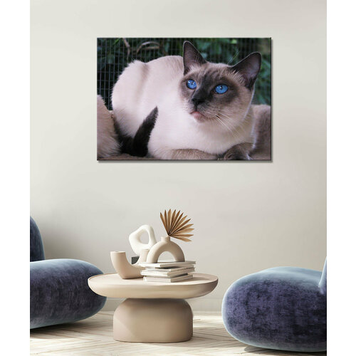 Картина - кошка, сиамская кошка, домашняя кошка, ласковая кошка, короткошерстная кошка, кот (86) 40х60