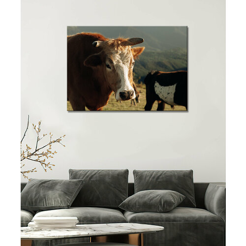 Картина - Корова, коричневая корова, корова на пастбище, бык (12) 20х30