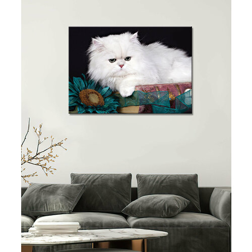 Картина - кошка, персидская кошка, домашняя кошка, ласковая кошка, кот (298) 60х80