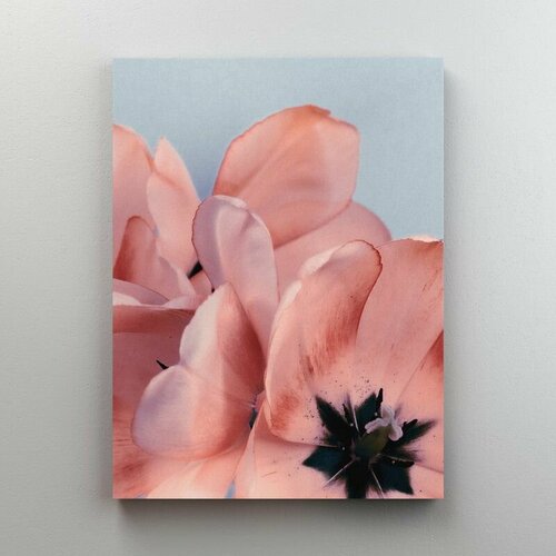 Интерьерная картина на холсте "Необыкновенный розовый тюльпан" размер 30x40 см