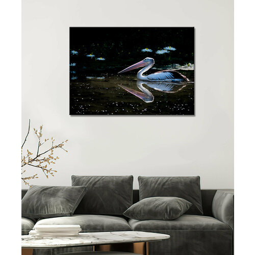 Картина/Пеликан/Пеликаны/Пелекан у моря/Пеликан вблизи/ - Пеликан (10) 50х70