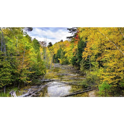 Картина на холсте 60x110 LinxOne "Осень пейзаж деревья лес река" интерьерная для дома / на стену / на кухню / с подрамником