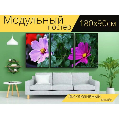 Модульный постер "Космос завод, космея, цветок" 180 x 90 см. для интерьера
