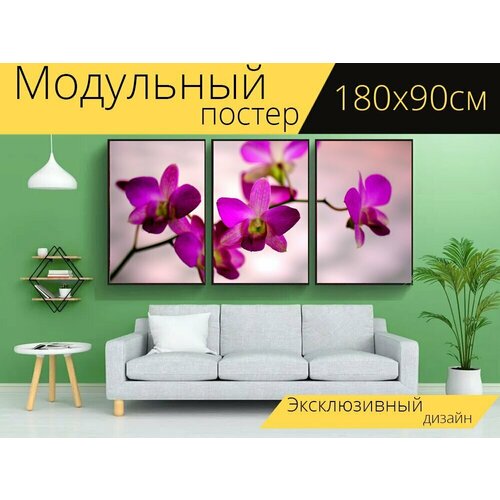 Модульный постер "Цветы, фиолетовый, лилии" 180 x 90 см. для интерьера