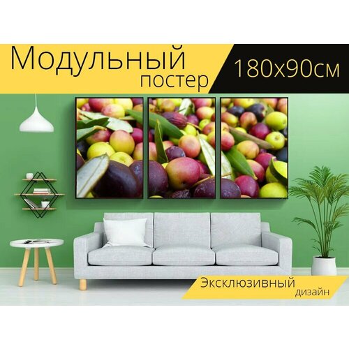 Модульный постер "Оливки, арбекины, уборка урожая" 180 x 90 см. для интерьера