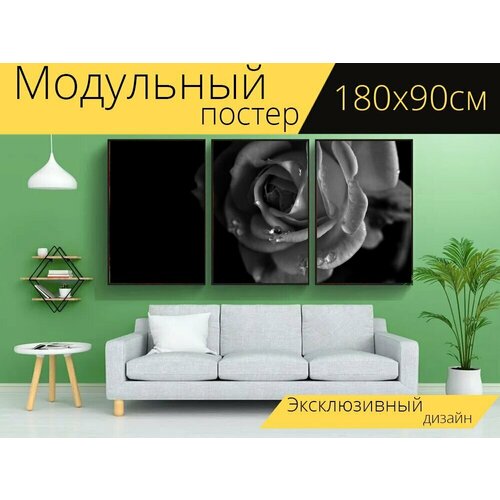 Модульный постер "Роза, цветок, черно белое изображение" 180 x 90 см. для интерьера