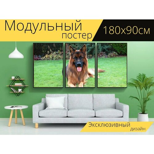 Модульный постер "Немецкая овчарка, друг, собака" 180 x 90 см. для интерьера