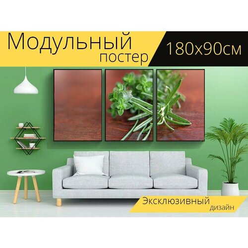 Модульный постер "Травы, розмари, петрушка" 180 x 90 см. для интерьера