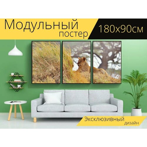 Модульный постер "Лев, африка, сафари" 180 x 90 см. для интерьера