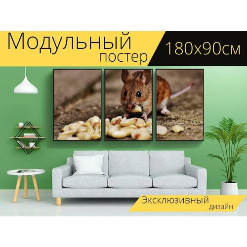 Модульный постер "Мышь, грызун, милый" 180 x 90 см. для интерьера