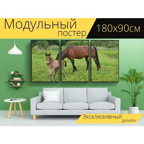 Модульный постер "Жеребенок, лошадь, лошади" 180 x 90 см. для интерьера