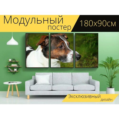 Модульный постер "Собака, гибридный, грубый" 180 x 90 см. для интерьера