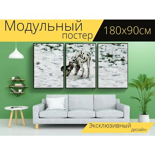 Модульный постер "Далматинец, пятна, снежная зима" 180 x 90 см. для интерьера