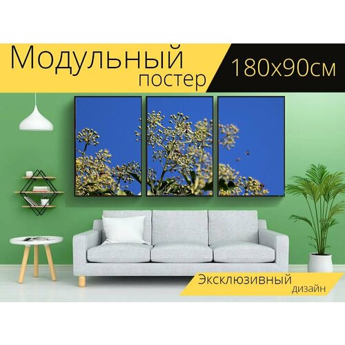 Модульный постер "Плющ, альпинистский завод, насекомые" 180 x 90 см. для интерьера