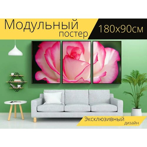 Модульный постер "Роза, цветок, блум" 180 x 90 см. для интерьера