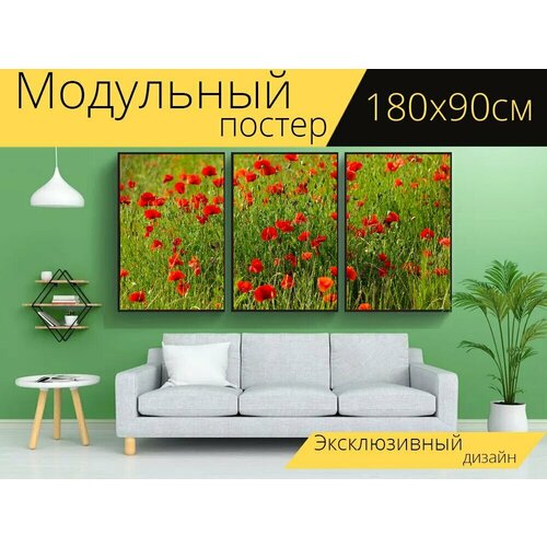 Модульный постер "Маки, цветы, маковое поле" 180 x 90 см. для интерьера