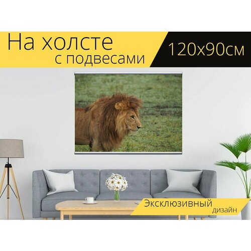 Картина на холсте "Лев, африке, львиная грива" с подвесами 120х90 см. для интерьера