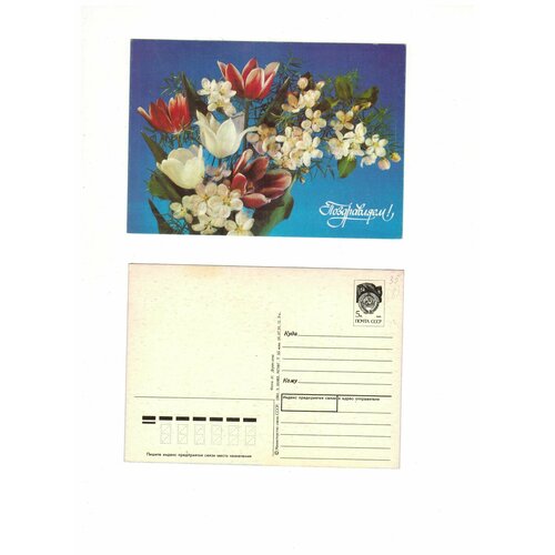 Почтовая открытка СССР "Поздравляем" Дергилева 1991 год