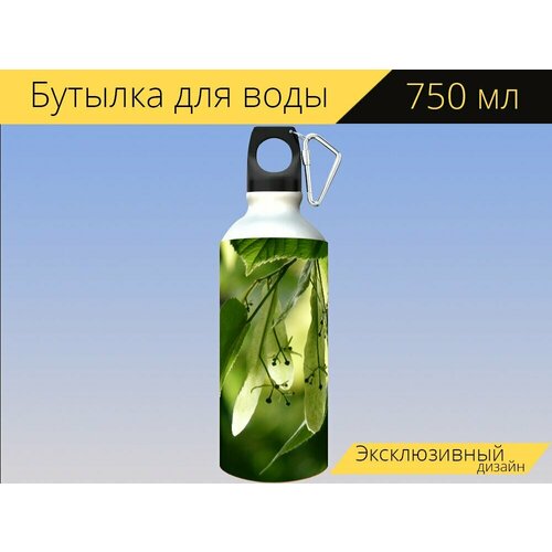 Бутылка фляга для воды "Липовый цвет, подставка для фруктов, липа" 750 мл. с карабином и принтом