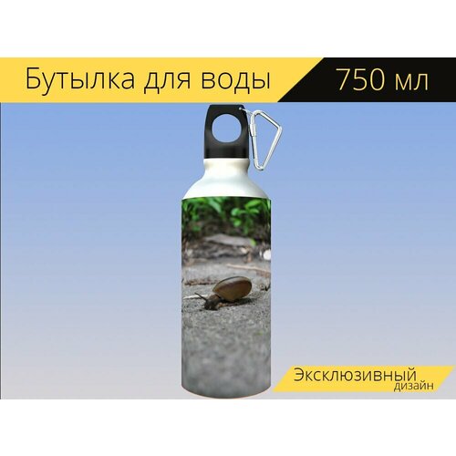 Бутылка фляга для воды "Улитка, животное, лес" 750 мл. с карабином и принтом