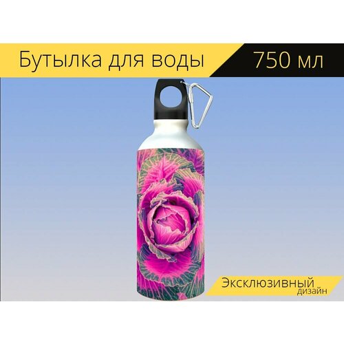 Бутылка фляга для воды "Завод, декоративные капуста, кольраби" 750 мл. с карабином и принтом