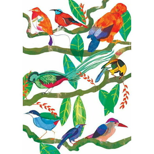 Плакат, постер на бумаге экзотические птицы. Размер 21 х 30 см