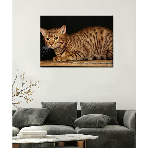 Картина - кошка, кошка оцикет, кошка-оцелот, короткошёрстная кошка, кот (48) 40х60