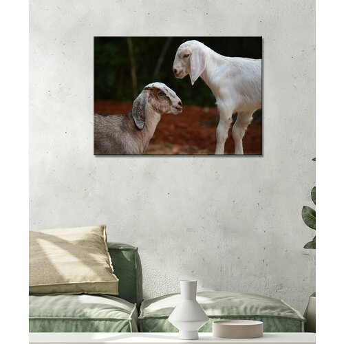 Картина -Козлята, козленок, коза, козел (19) 60х80