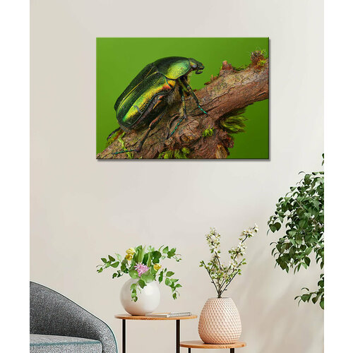 Картина - бронзовка золотистая, жук, бронзовка на листве, природа, макро (20) 60х80