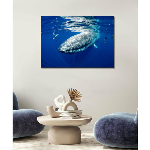 Картина - кит, синий кит, кит в океане, дайверы, огромный кит, кит в воде (16) 30х40