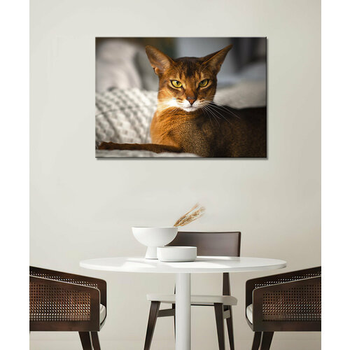 Картина - кошка, абиссинская кошка, древняя кошка, домашняя кошка, ласковая кошка, кот (179) 40х60