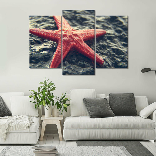 Модульная картина/Модульная картина на холсте/Модульная картина в подарок/красная морская звезда-red starfish 120х80