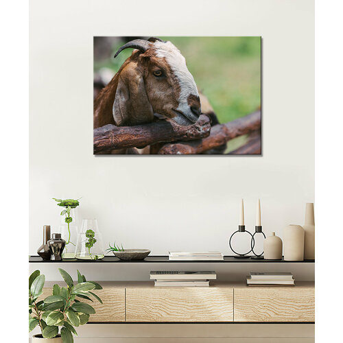 Картина -Коза, козел, коричневый козел, коричневая коза (10) 30х40