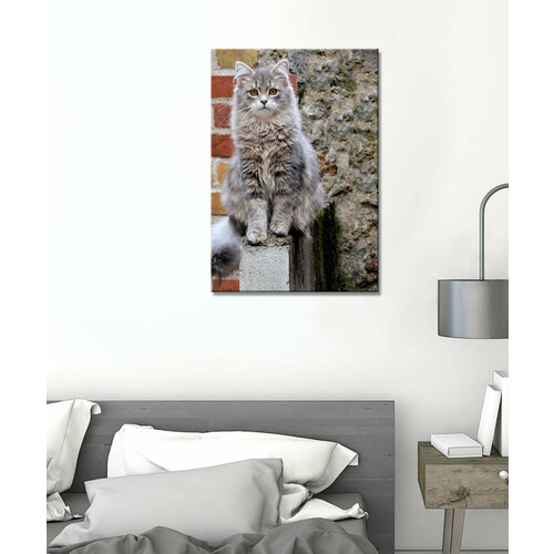 Картина - кошка, сибирская кошка, домашняя кошка, ласковая кошка, полудлинношёрстная кошка, кот (119) 30х40