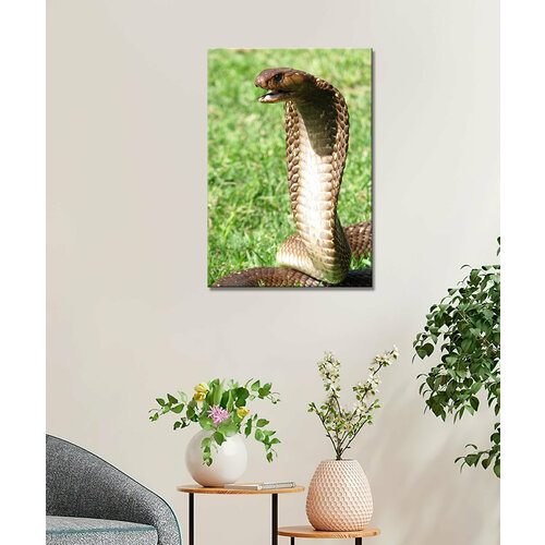 Картина - змея, королевская кобра, ядовитая змея, большая змея, кожа змеи (7) 40х60